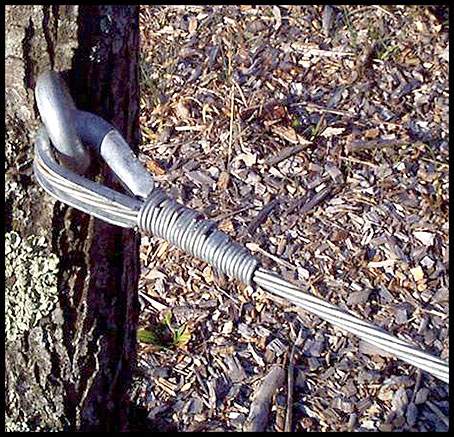 Treehugger Tree Service