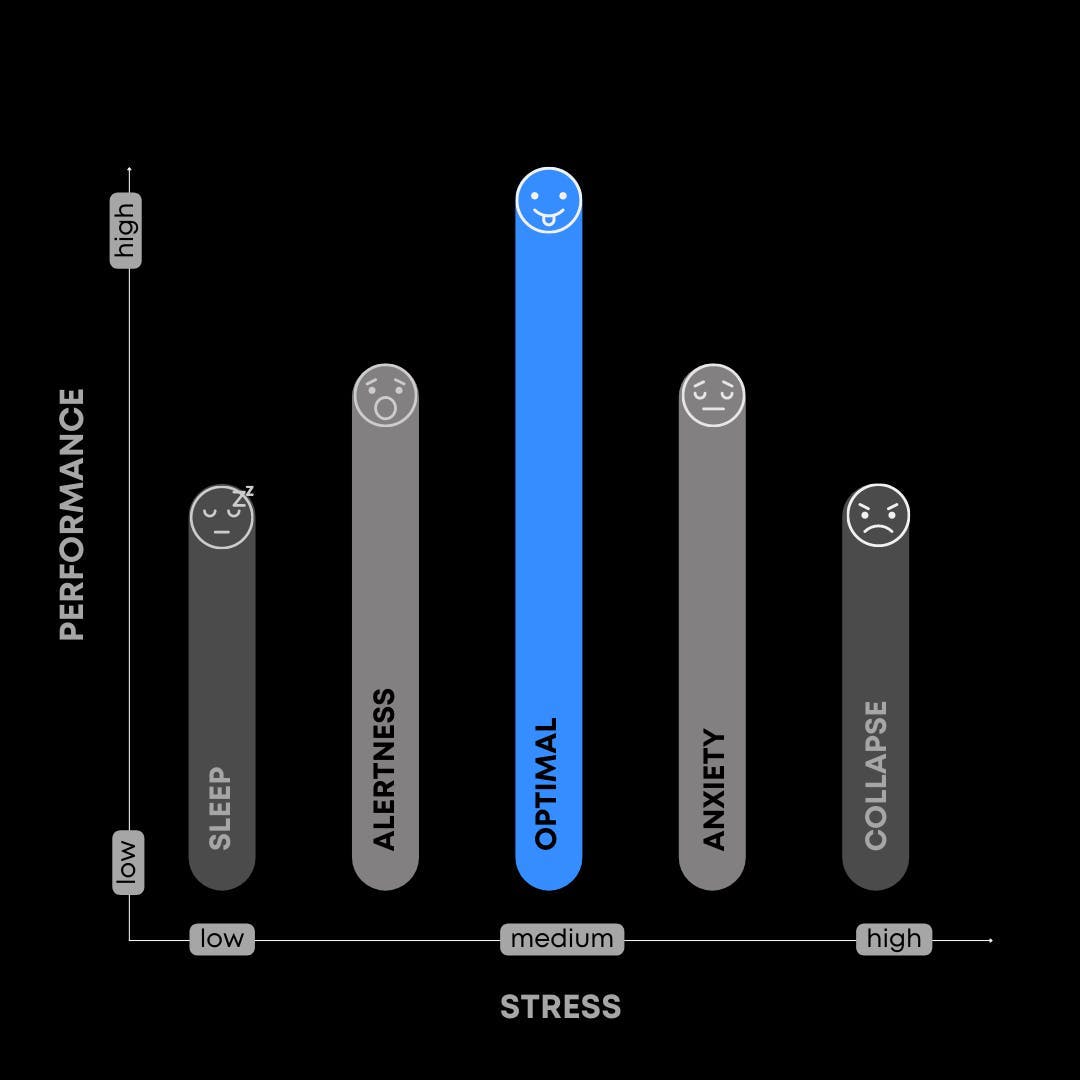 Strategies for Mastering Stress | The Curiosity Chronicle