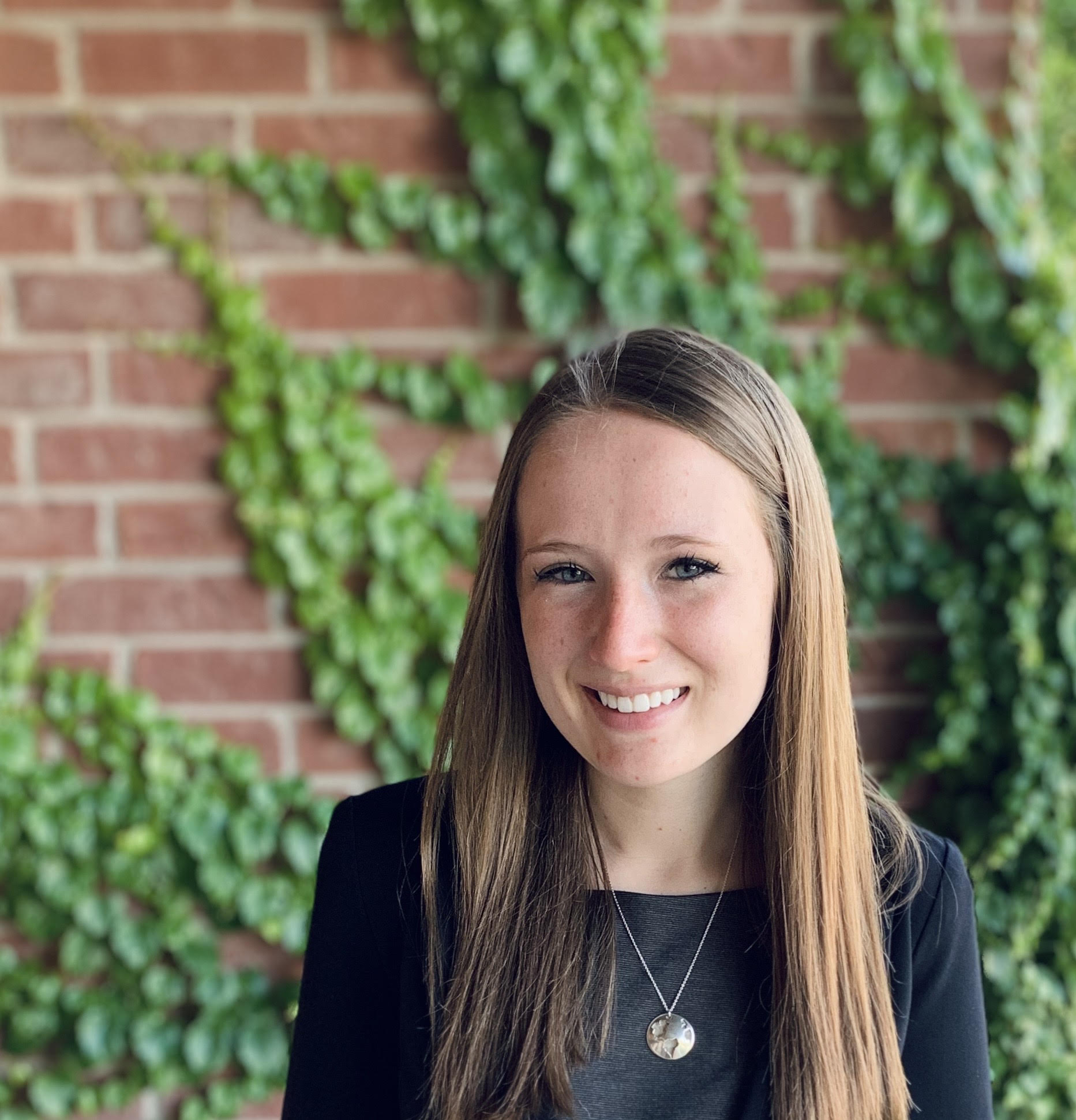 Consortium on the American Political Economy | Home