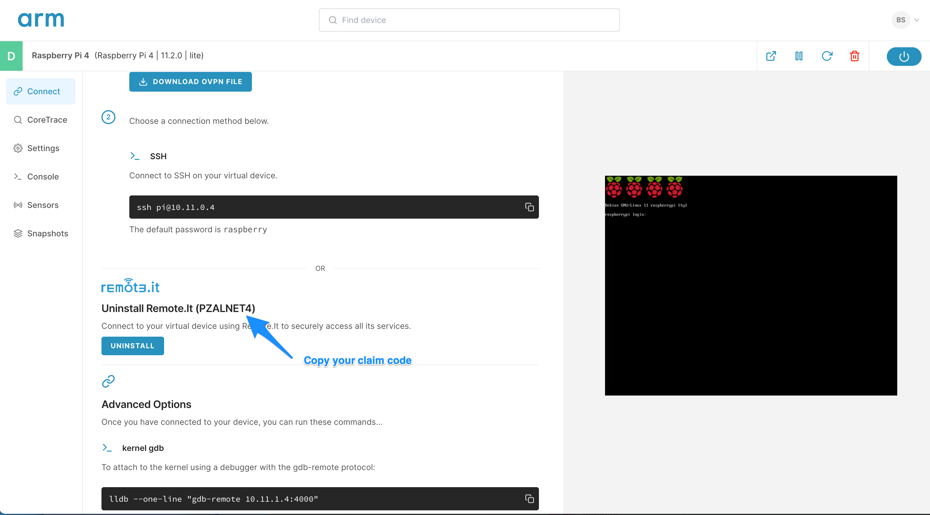 ARM Virtual Hardware
