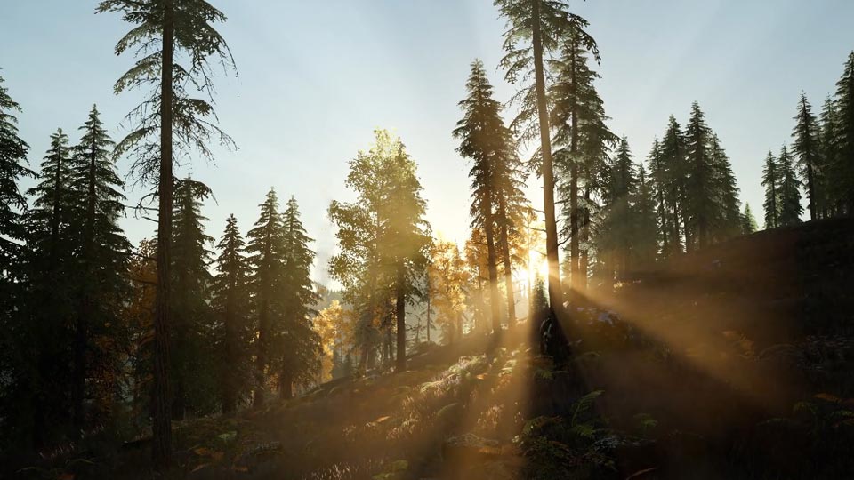 Exploits Discovery: Commanding Land Position