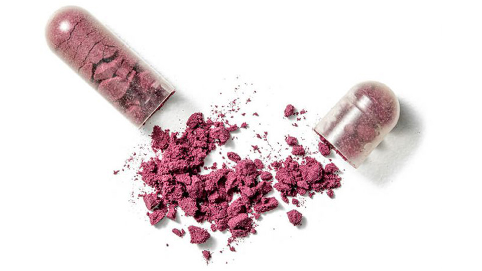 BioHarvest – Growing Wellness Through Biofarming