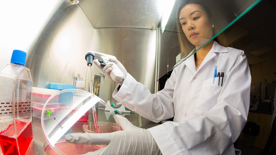 IMV Uses Proprietary Technology and Immune Systems to Kill Cancer Cells