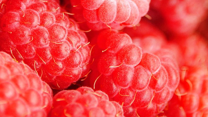 Raspberry Scent In Perfume: Grasp Your Inner Raspberry | Blog Maison 21g