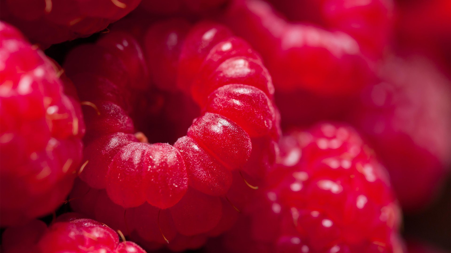 Raspberry Scent In Perfume: Grasp Your Inner Raspberry | Blog Maison 21g