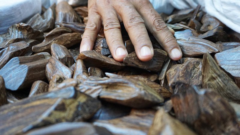 Stand Out From The Crowd With Oud Outshine: What Is Oud Perfume | Blog ...