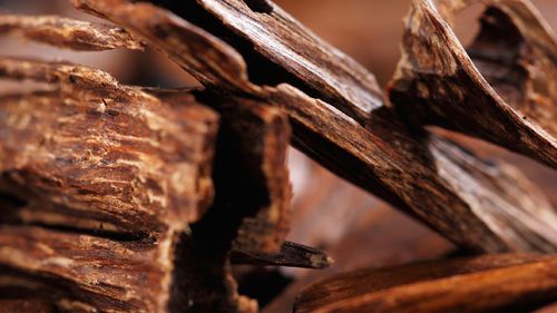 Stand Out From The Crowd With Oud Outshine: What Is Oud Perfume | Blog ...