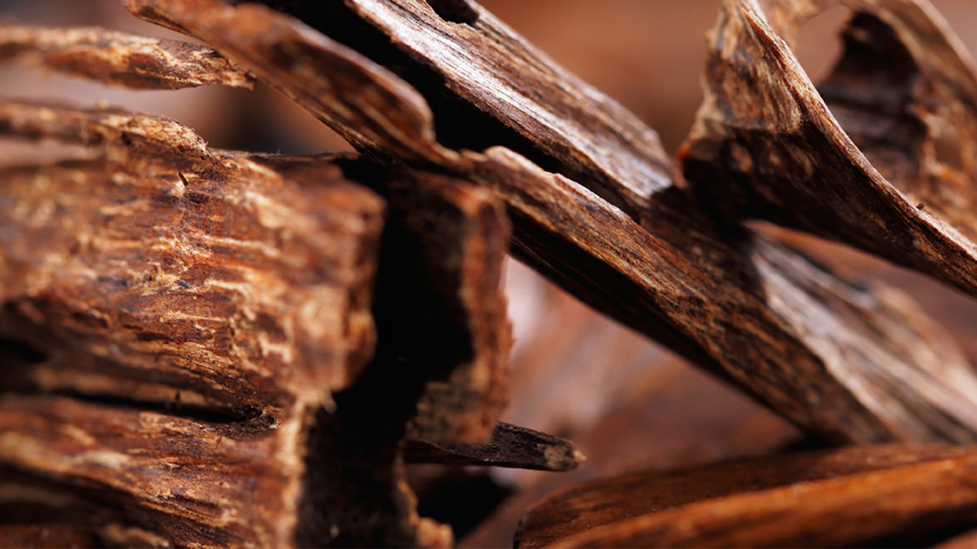 Stand Out From The Crowd With Oud Outshine: What Is Oud Perfume | Blog ...