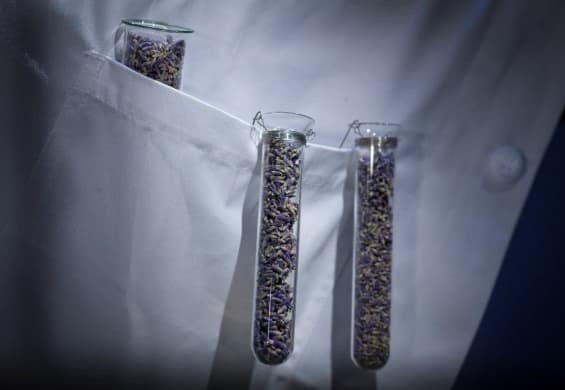 How Do Stores Smell So Good? The Power of Scent Marketing | Blog Maison 21G