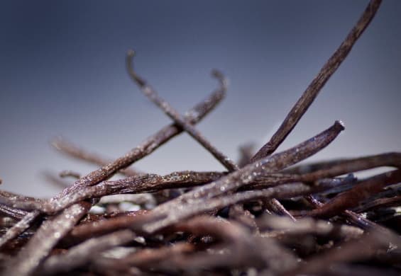 How to Mix Perfumes: Creating the Perfect Fragrance Combination | Blog ...