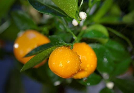 How to Mix Perfumes: Creating the Perfect Fragrance Combination | Blog ...