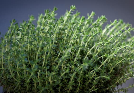 How to Mix Perfumes: Creating the Perfect Fragrance Combination | Blog ...