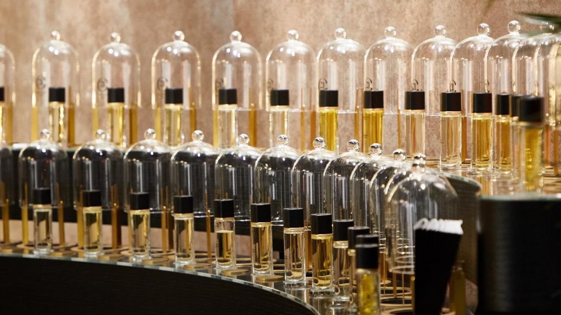 A Fragrant Journey: The Ultimate Guide How to Choose Your Perfect ...