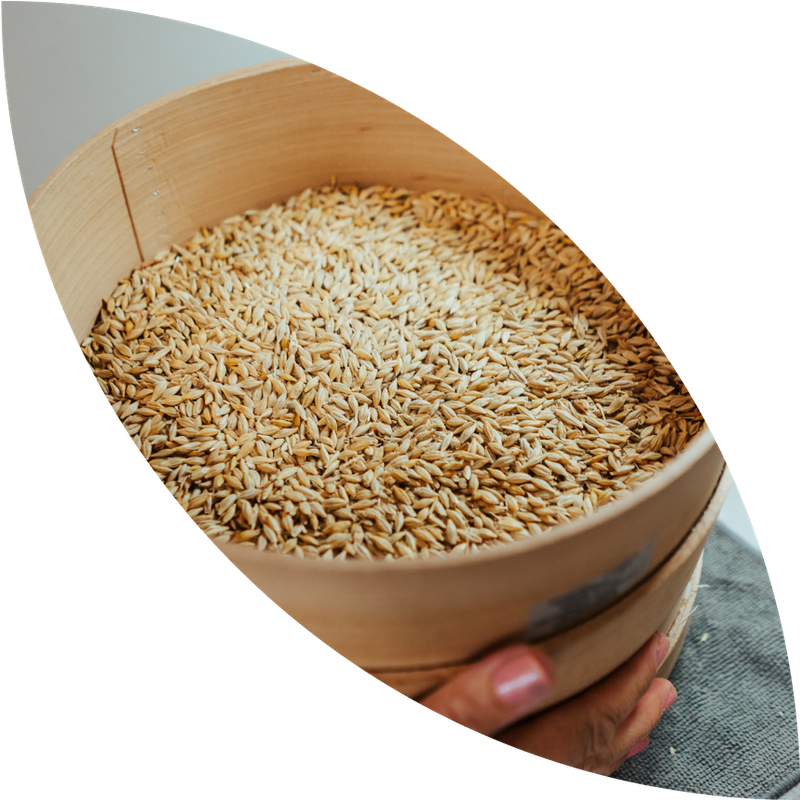 Eastgrain | About us