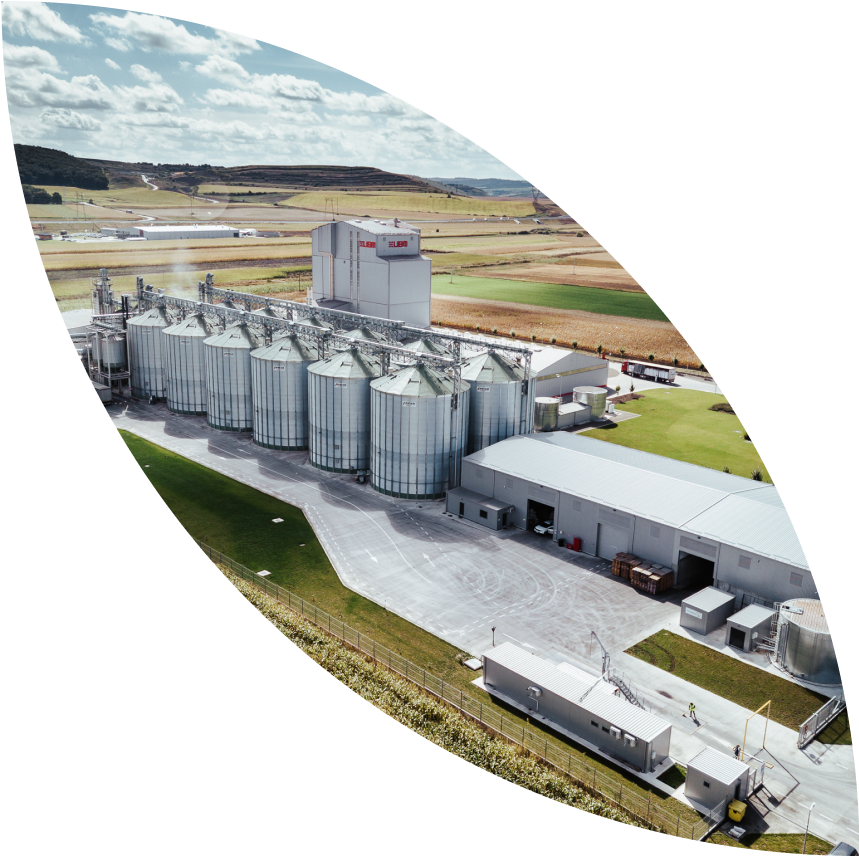 Eastgrain | About us