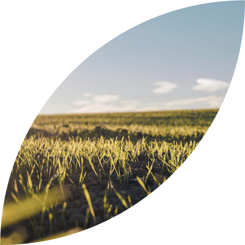 Eastgrain | About us