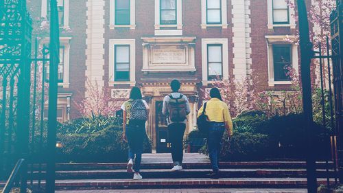 Should I go to university? - Read & Watch | Springpod