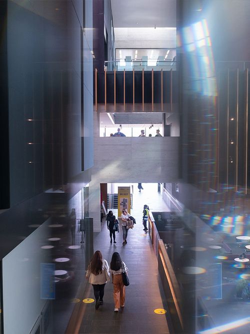 Experience University before you go | Springpod