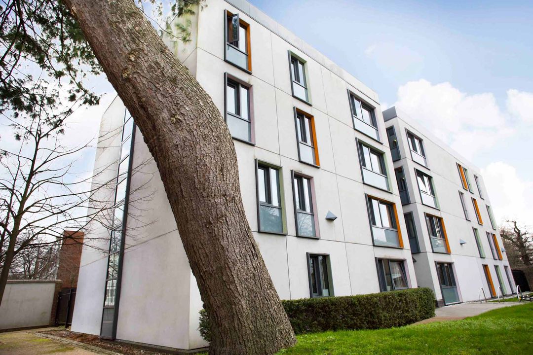 University of Roehampton - University Experience | Springpod