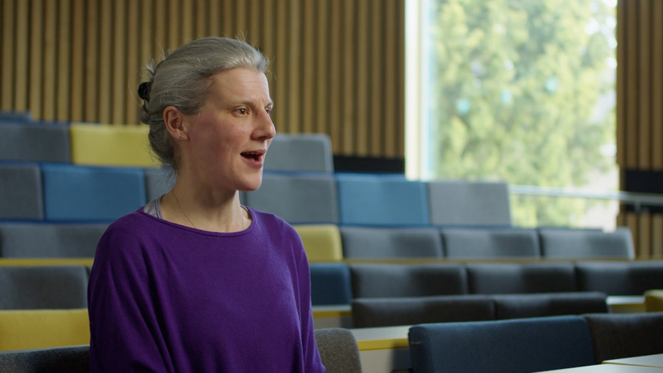 English Literature with Dr Mary Ann Lund Bonus: Bridging the gap ...