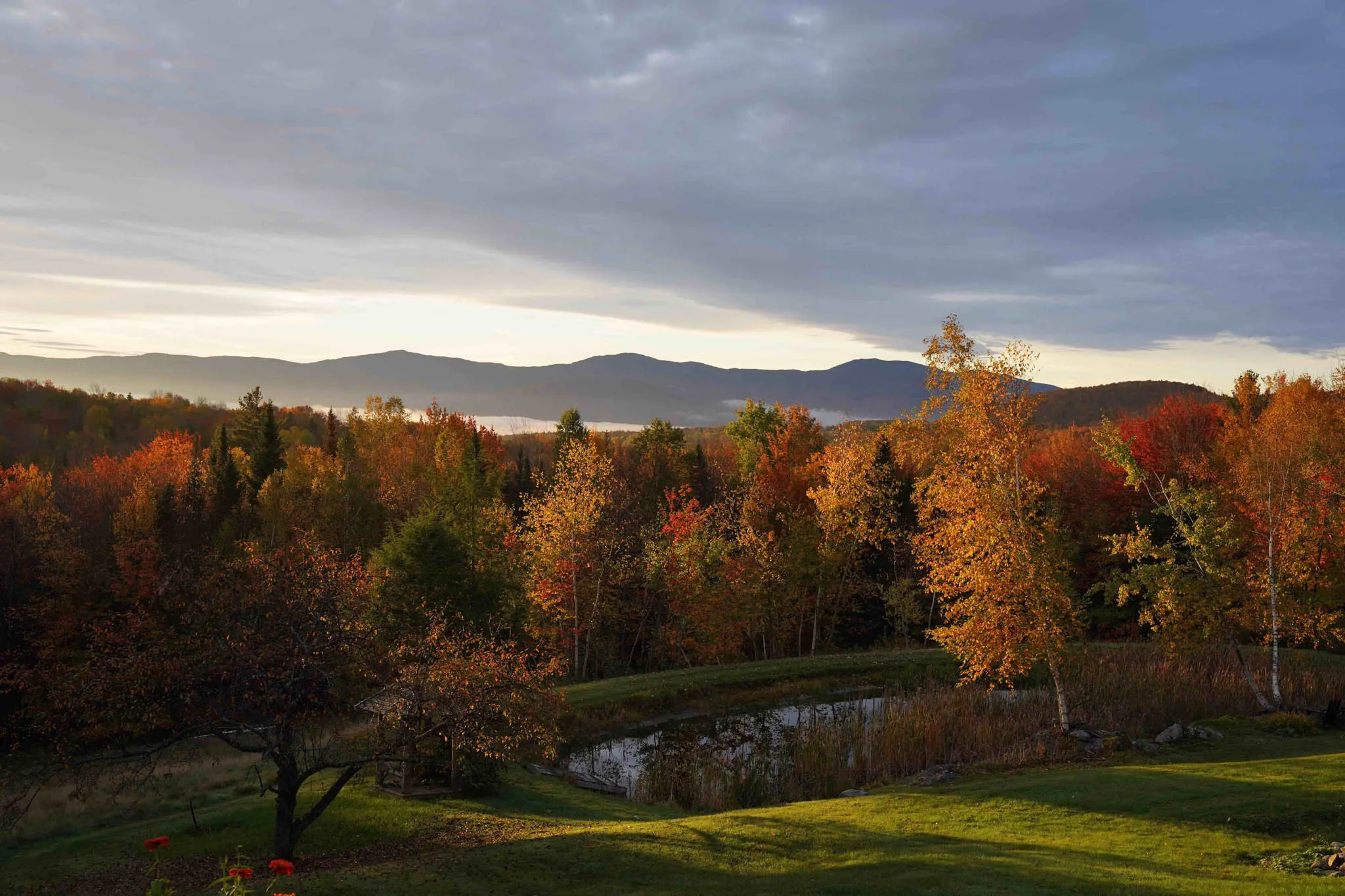 Sterling Forest: Your Gateway to Nature in Vermont