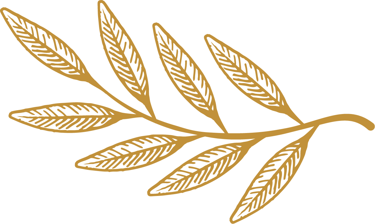 ONELIFE Senior Living | The Best In Memory Care & Assisted Living