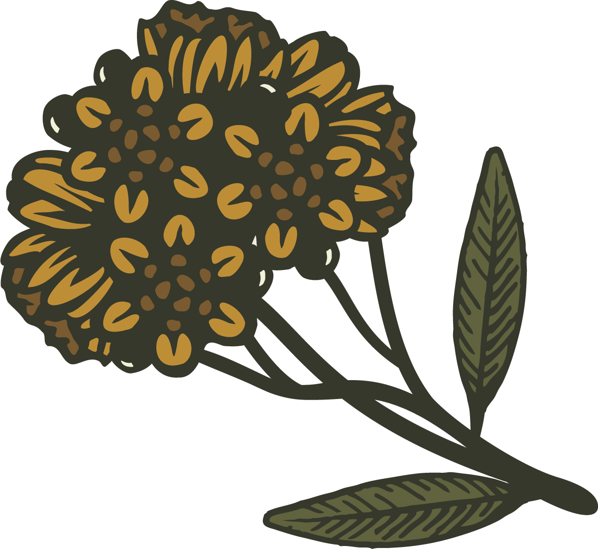 The Best in Senior Living | ONELIFE Senior Living