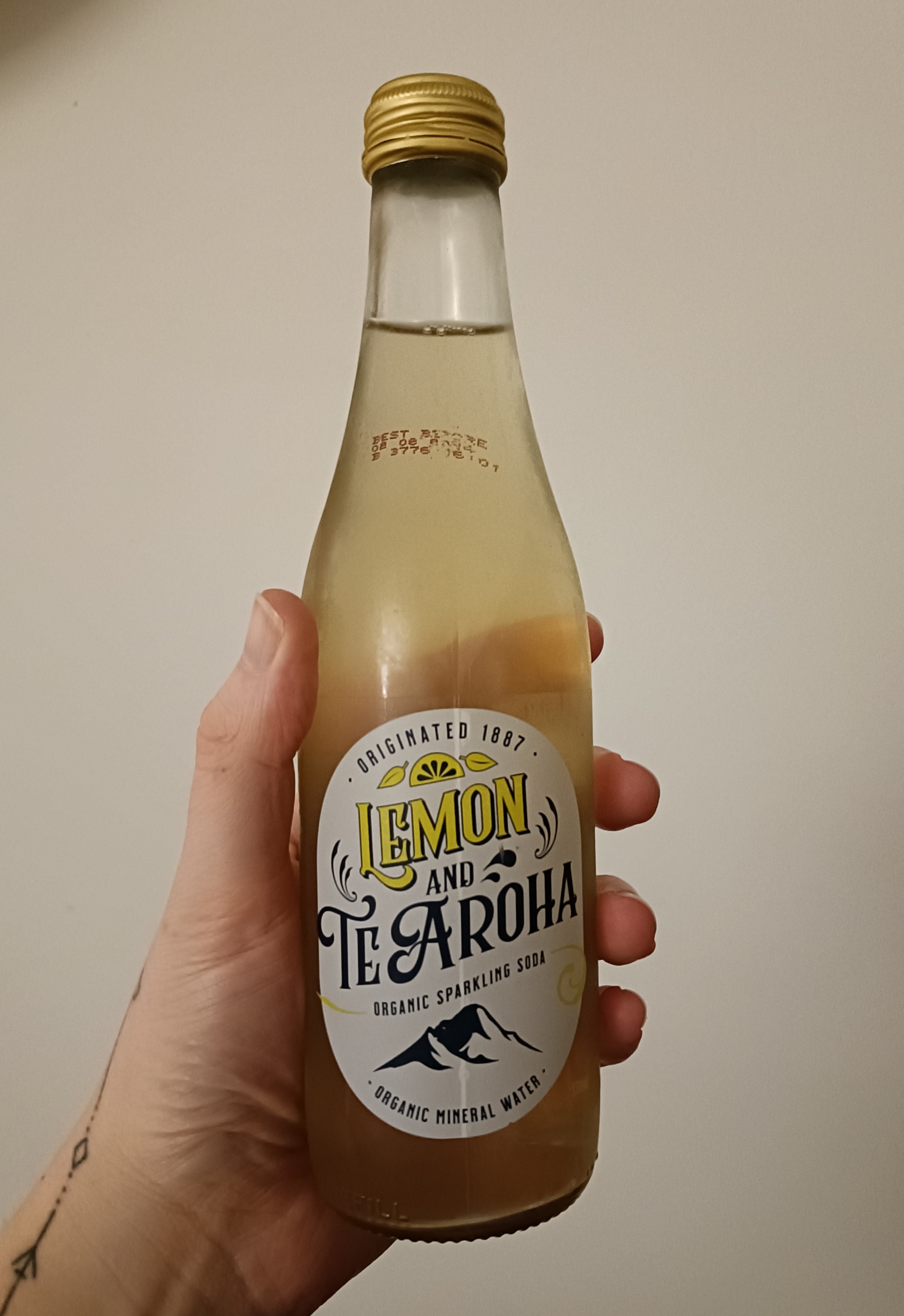 Te Aroha & District Museum