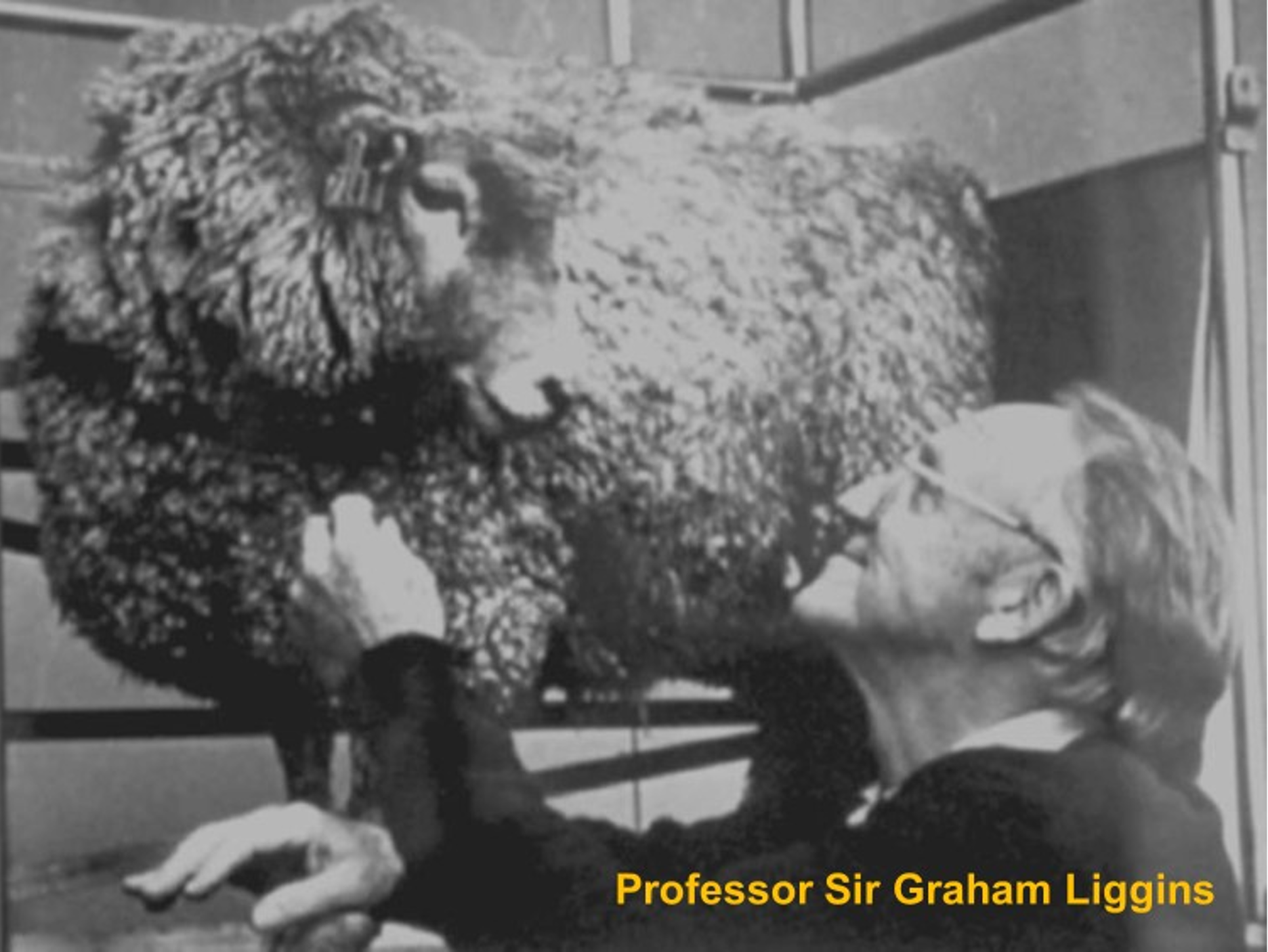 Professor Sir Graham (Mont) Liggins