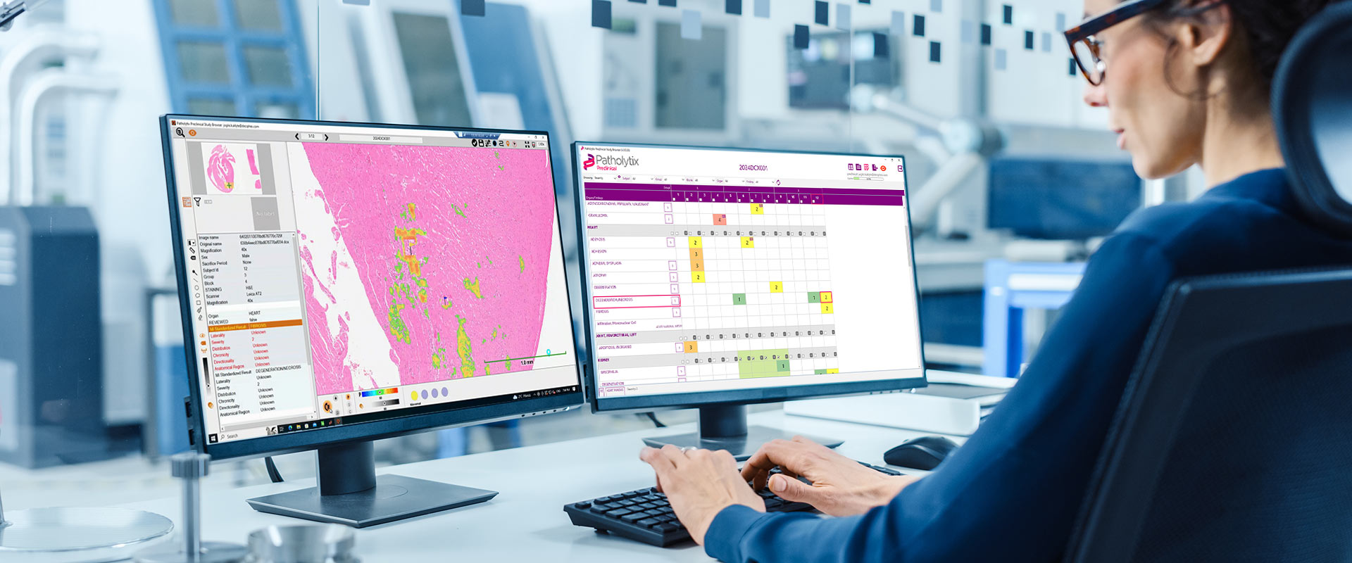 Deciphex - Accelerating Certainty