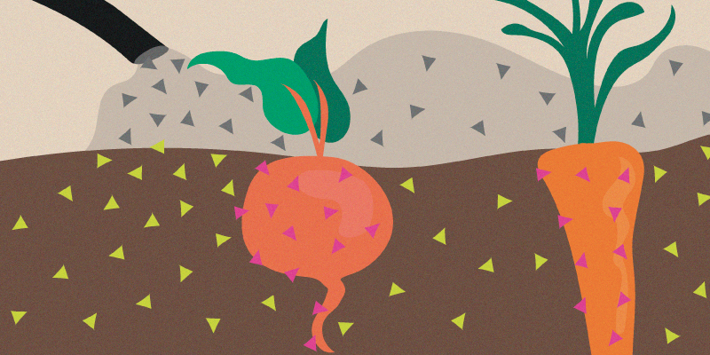 What Are the Health Impacts of Exposure to Toxins?