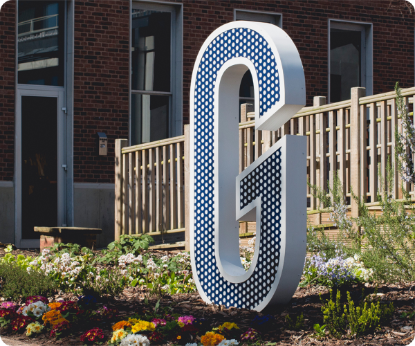 Search the Guild Website