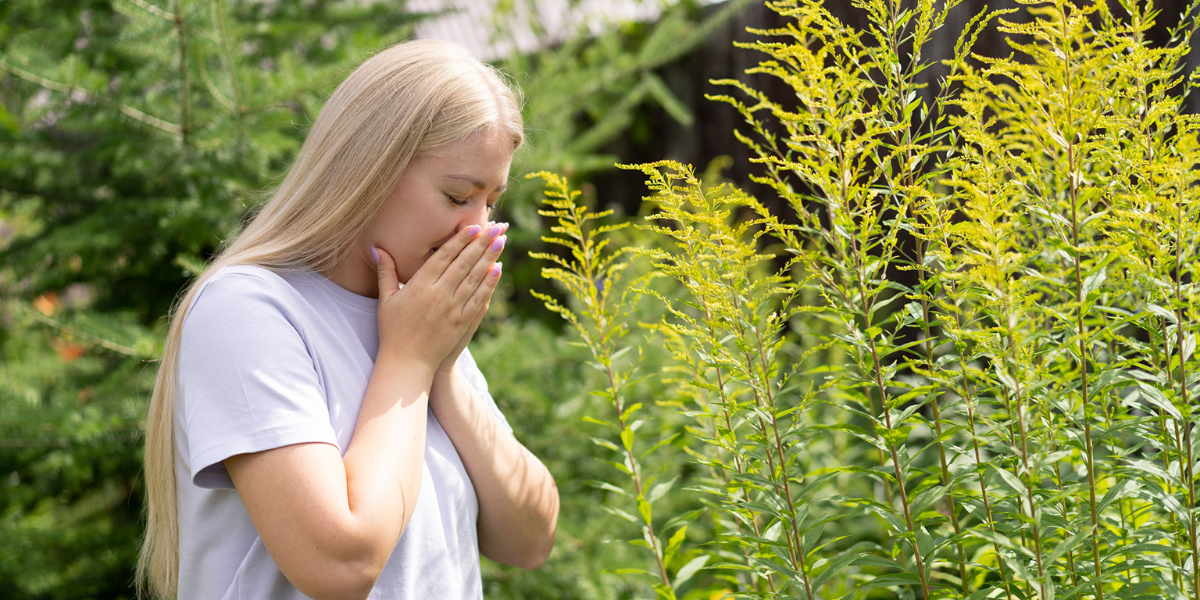 5 Tips To Ease Ragweed Allergy Symptoms | Restore Hyper Wellness