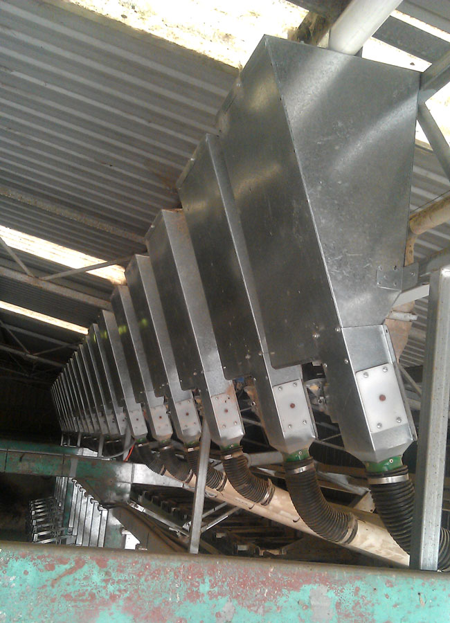Feedtech Feeding Systems | Flatson Selecta Feeder