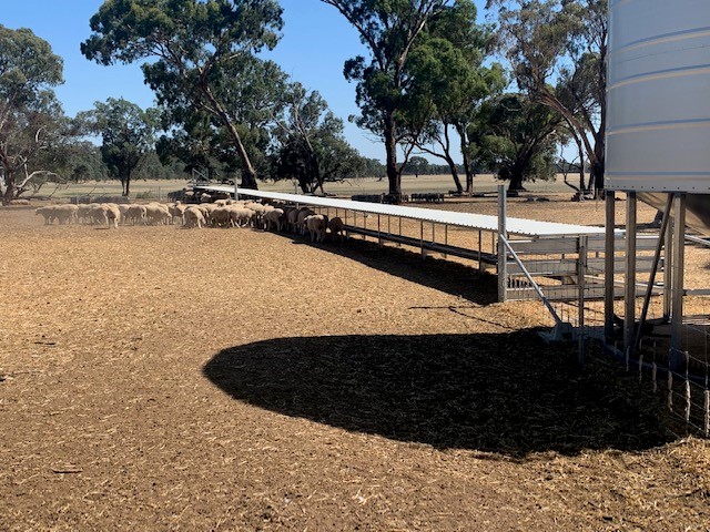 Feedtech Feeding Systems | Auto Feeders Gallery