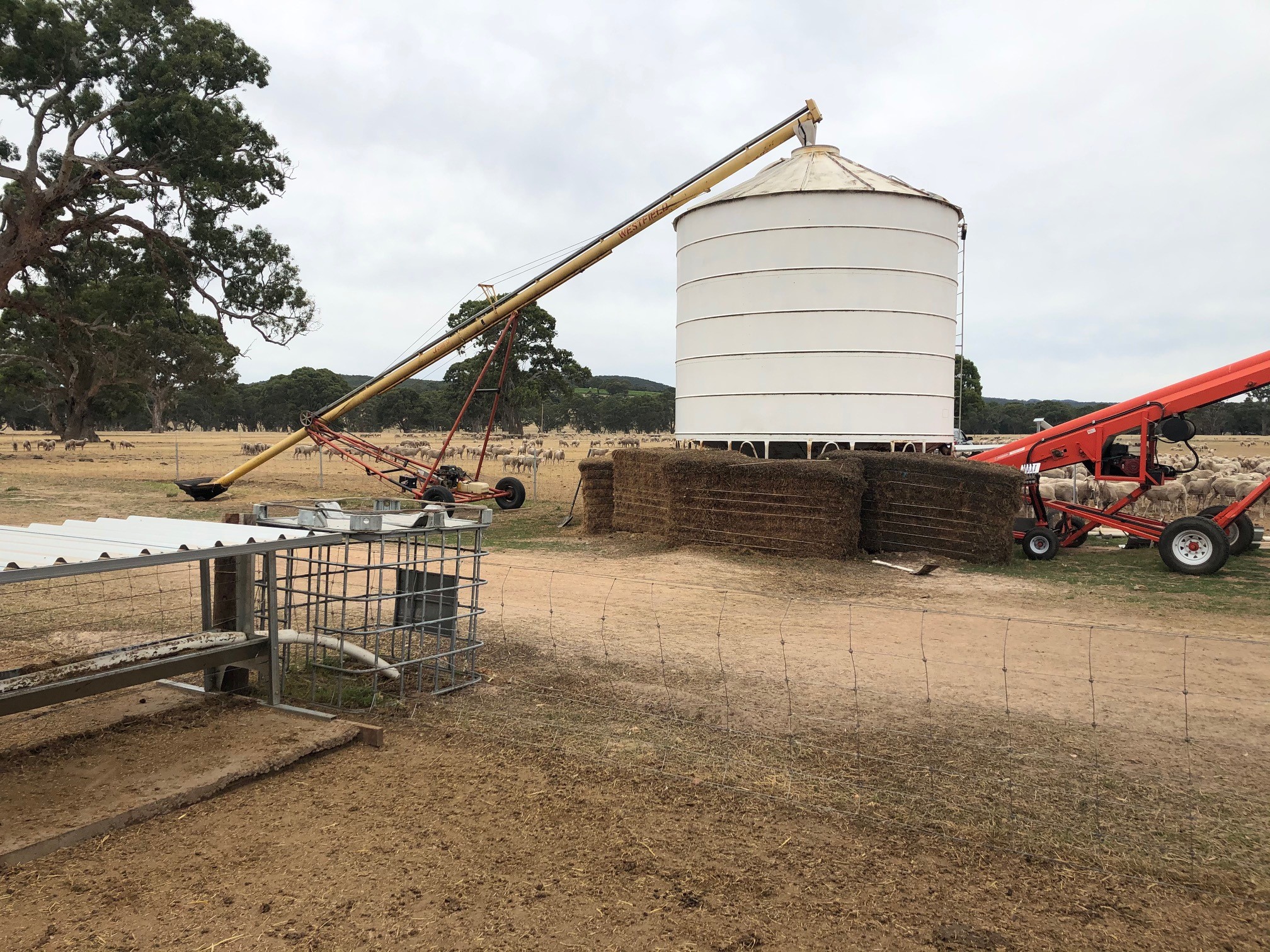 Feedtech Feeding Systems | Auto Feeders Gallery