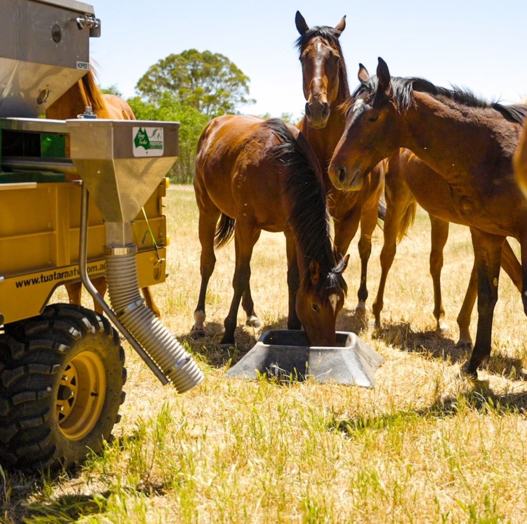Horse Feeder