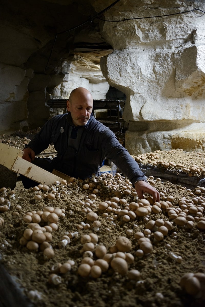 Les producteurs : soutenir une troisième voie agricole