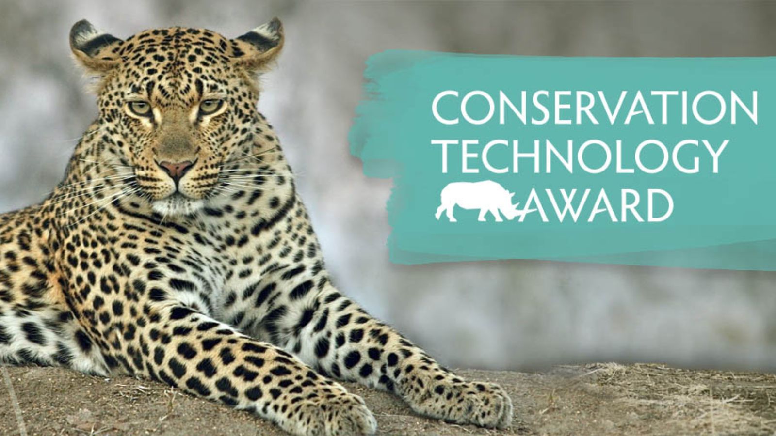 2023 Conservation Tech Award