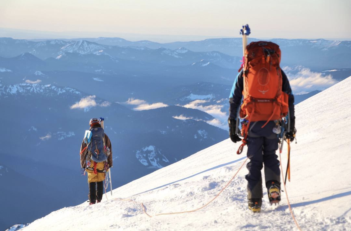 5 Steps To Get Your Team More Aligned - Trainual