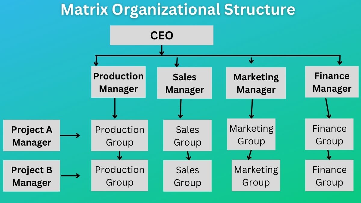 Creating a Non Profit Organizational Chart for Success