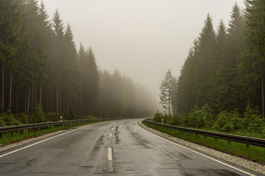 10 Tips for Safe Driving in Fog | SafetyConnect