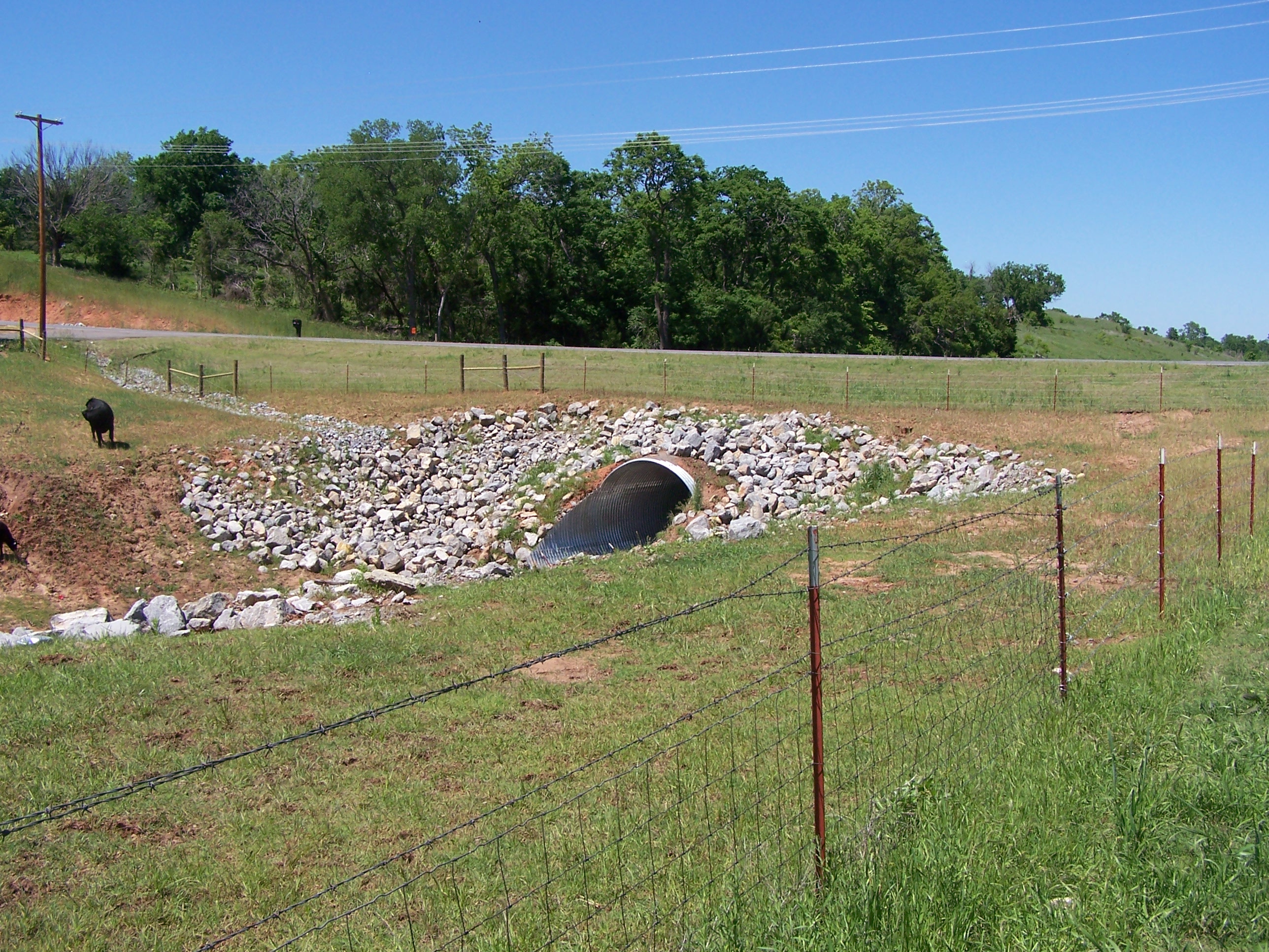 Cowan Group: Projects