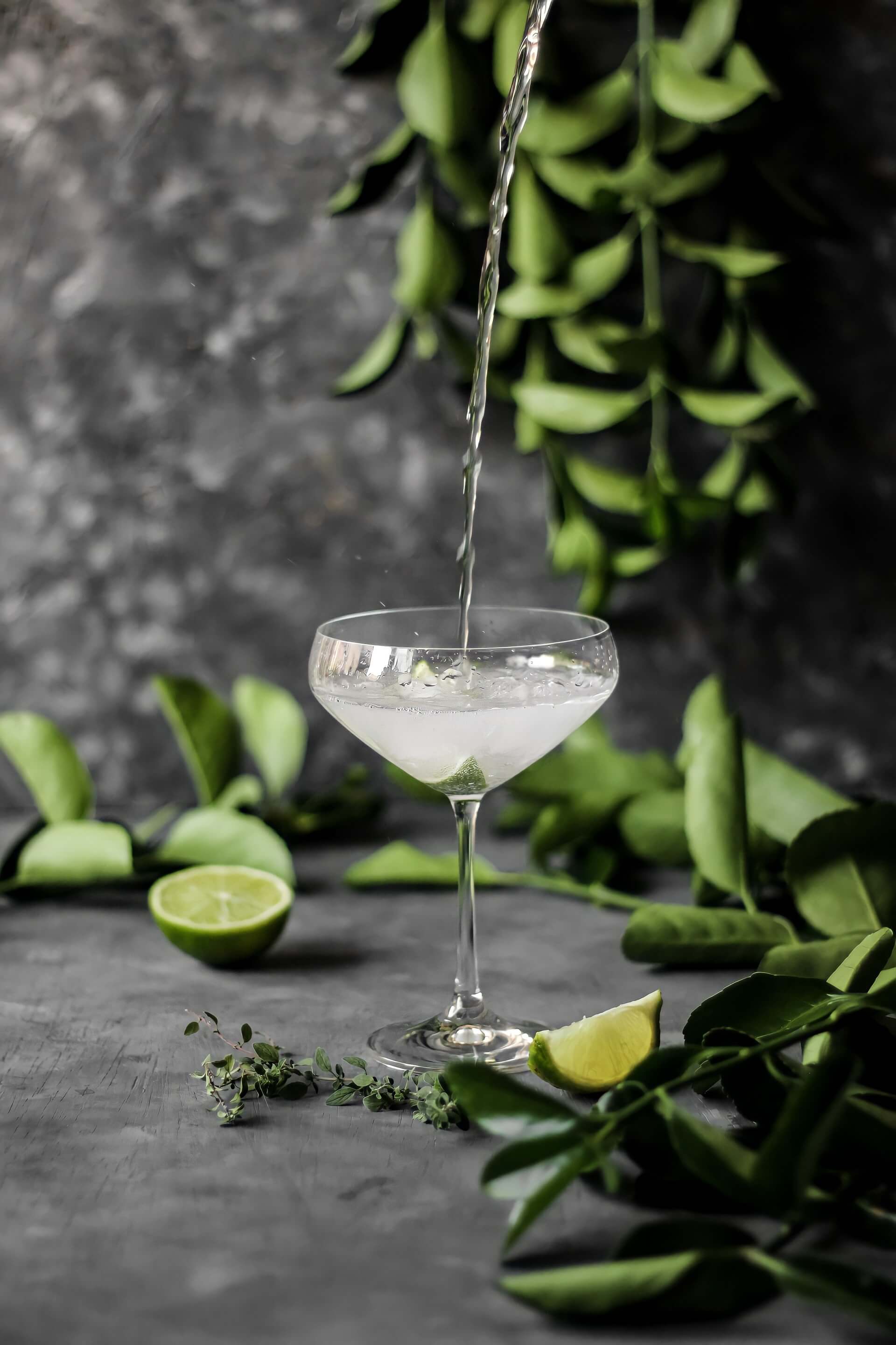 Yellow Label Clothing - @TyCreated Webflow Template