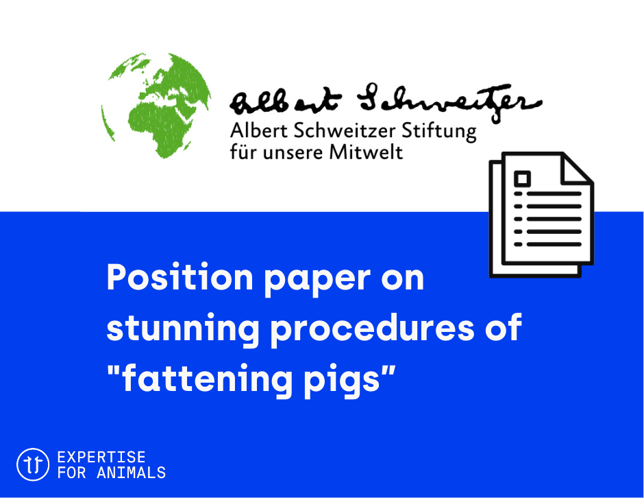 New position paper on stunning procedures of "fattening pigs”