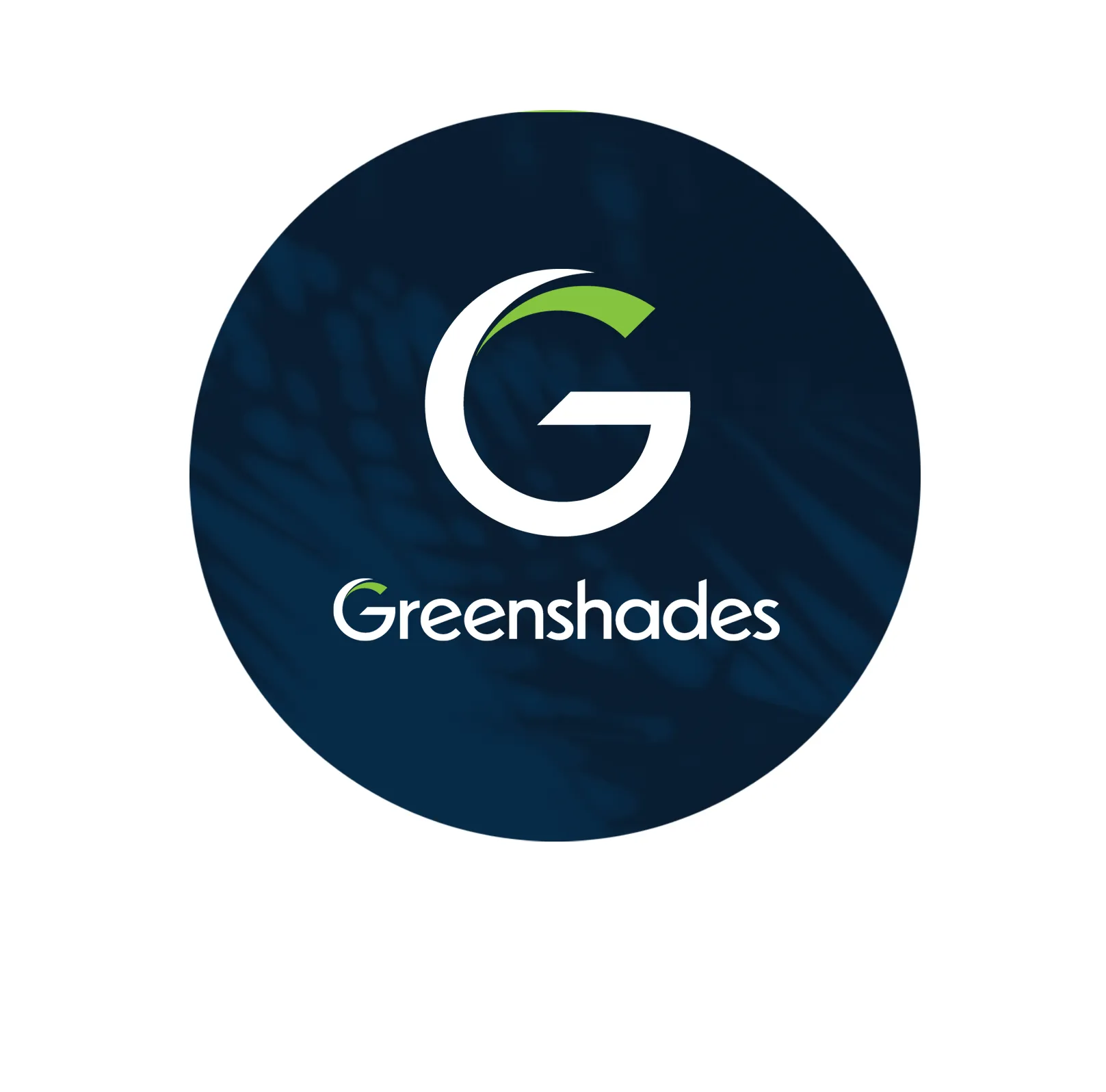 Celebrating 20 Years