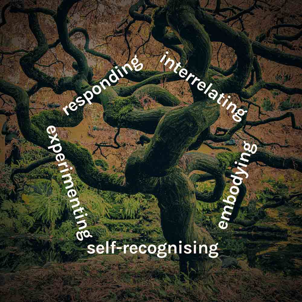 Whole Intelligence by Malcolm Parlett