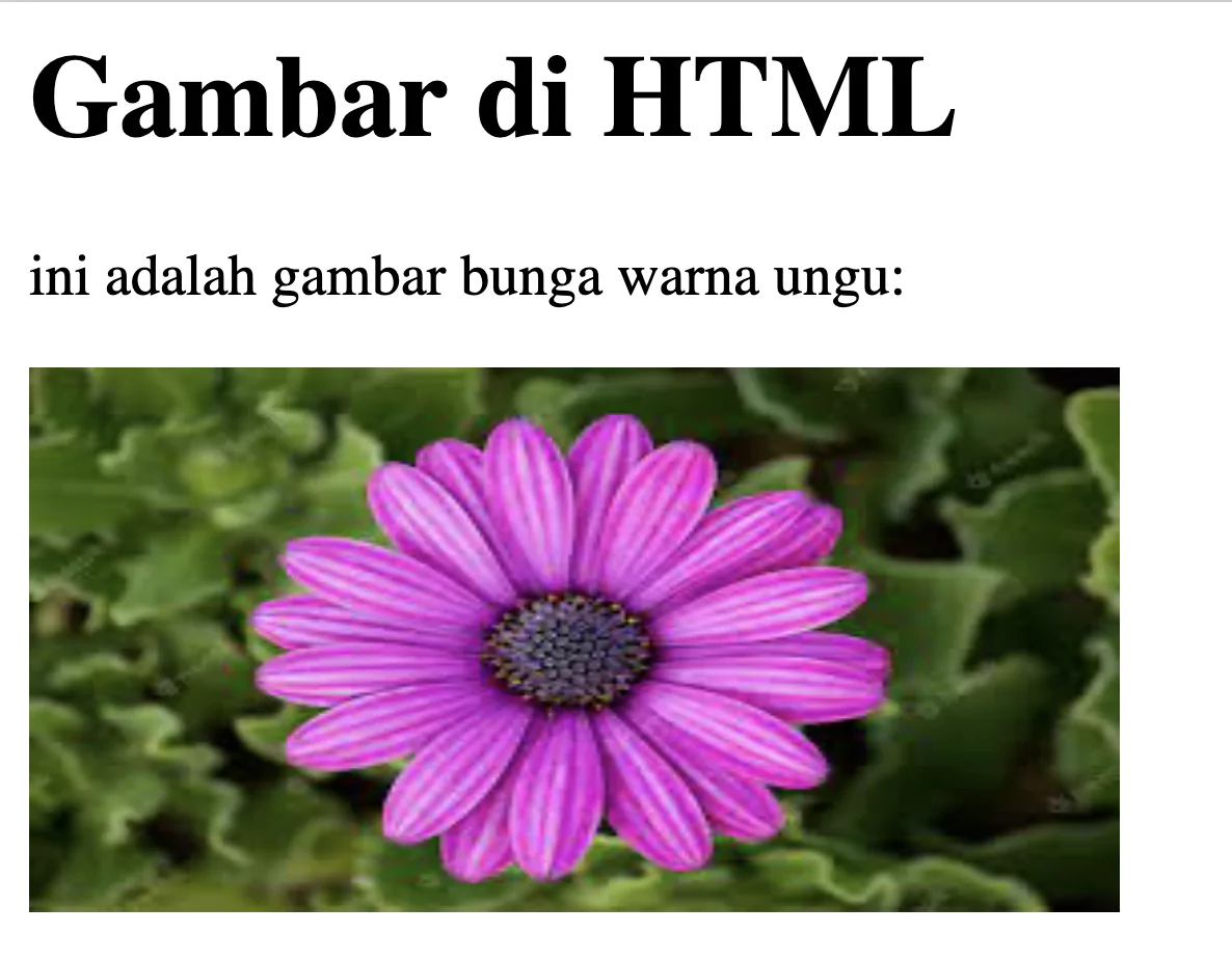 HTML Image: Cara Menambahkan Gambar di HTML 2023 | RevoU