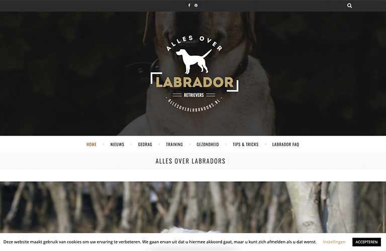 10 populaire soorten websites voor inspiratie