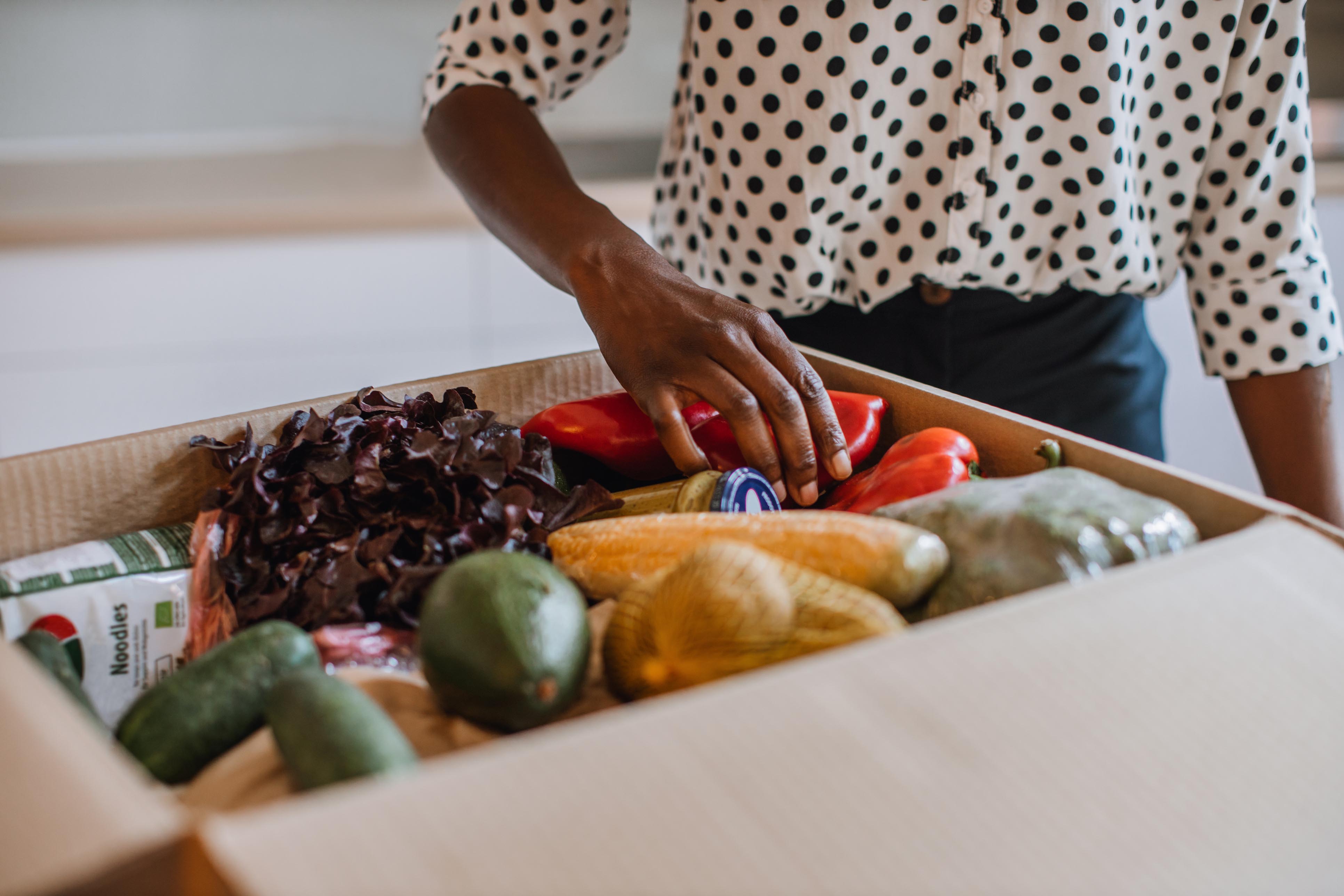 Custom compliance program and IPO-readiness for meal kit delivery ...